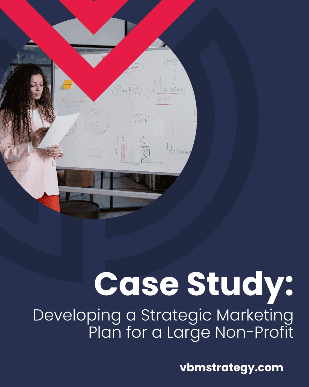 Case Study: Developing a Strategic Marketing Plan for a Large Non-Profit - VBM Strategy